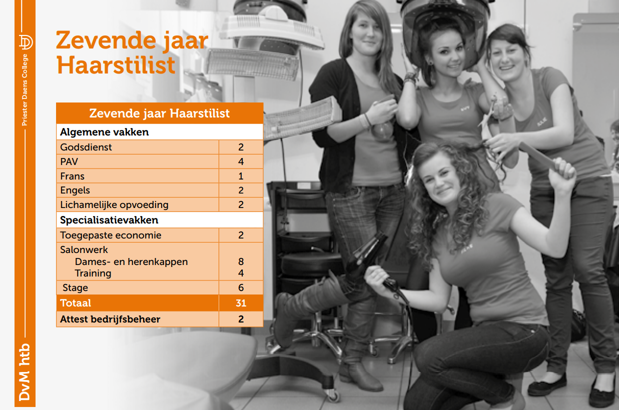 Zevende jaar Haarstilist